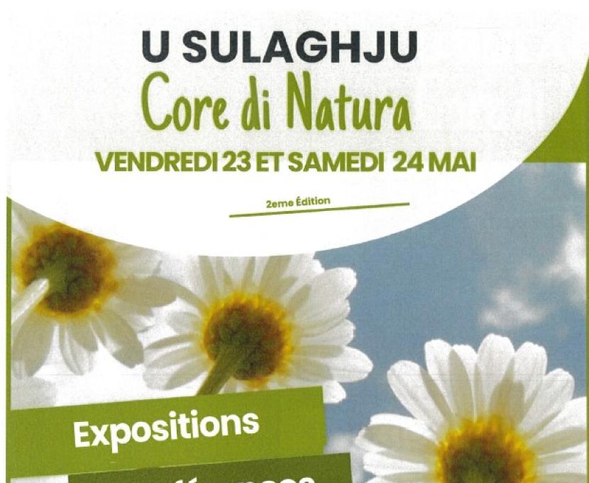 Office de tourisme intercommunal Corse Orientale Fium'Orbu Castellu - U ...