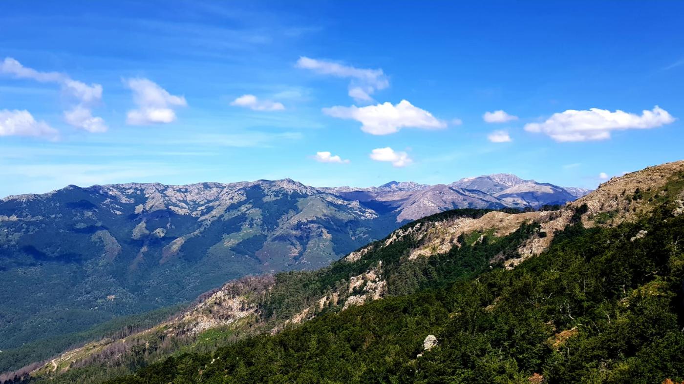 Office de tourisme intercommunal Corse Orientale Fium'Orbu Castellu ...